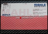 China ISUZU 4HK1 Full Repair Diesel Engine Gasket Kit Mahle Brand 5878153450 / 5-87815345-0 for sale