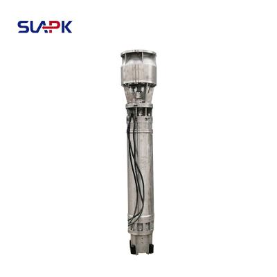 China 10 12 14 Inch Stainless Steel Submersible Pump for Seawater Lifting 316L for sale