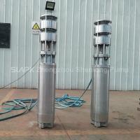 China Stainless Steel Deep Well Pump 6-8 Inch 316 Corrosion Resistant Impeller Seawater Desalination 5-100 m³/h for sale