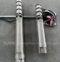 China 316L Stainless Steel Saltwater Pump 380V 50Hz for Marine Seawater Desalination Systems for sale