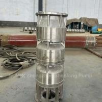 China Marine Stainless Steel Submersible Pump 440V 60Hz for Ships Bilge Ballast Seawater for sale