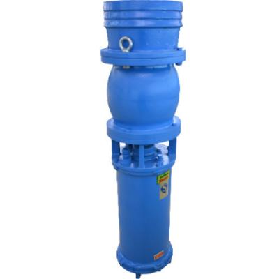 China QSZ Submersible Axial Flow Pump 500-3000 m³/h Capacity with Horizontal/Vertical/Tilting Installation Options for sale