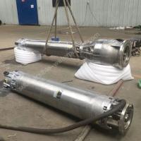 China Heavy Duty Saltwater Submersible Pump 15 kW to 1000 kW IP68 Marine Dewatering for sale