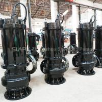 China High-Efficiency Submersible Sewage Pump 220m3/h Flow 18.5kW 30kW Municipal Engineering for sale