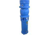 China QSZ Submersible Axial Flow Pump 500-3000 m³/h Capacity with Horizontal/Vertical/Tilting Installation Options for sale