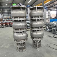China Duplex Stainless Steel Submersible Pump 2205 2507 for Harsh Middle East Environment 380V 50Hz for sale