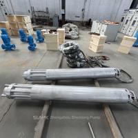 China Saltwater Submersible Pump 316L Stainless Steel 380V 50Hz for Port Construction UAE for sale