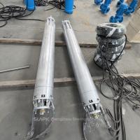 China Saltwater Submersible Pump 316L Stainless Steel 380V 50Hz for Port Construction UAE for sale