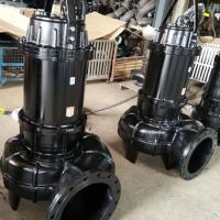 China 250WQ680-42-132KW-4 Cast Iron Submersible Sewage Pump with 680 m³/h Flow Rate, 42 m Head, and 132 kW Motor for sale