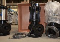China WQ Series 7.5kw 10hp Submersible Sewage Pump Cast Iron Stainless Steel 50mm Outlet for sale