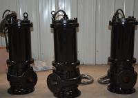 China WQ Series 11kw 15hp Submersible Sewage Pump IP68 Cast Iron Stainless Steel 380V for sale