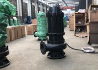China 22kw 30hp 3 Phase IP68 Submersible Sewage Water Pump Cast Iron Stainless Steel for sale