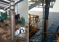 China Sea Water Deep Well Submersible Pump 75kw 100hp SS316L 60m Head 300m3/h for sale
