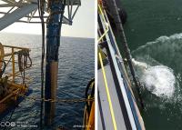 China Sea Water Deep Well Submersible Pump 75kw 100hp SS316L 60m Head 300m3/h for sale