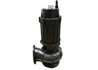 China Non Clogging Electric Sewage Water Pump 100m3h Flow 15-60m Head for Waste Water for sale
