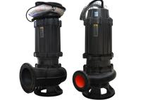 China WQ Series Electric Non Submersible Sewage Pump 11kw 15kw 37kw 50hp 100hp for sale