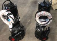 China Cast Iron 15kw 20hp Industrial Sewage Pump 45m3/h 45m Non Clogging Dewatering for sale