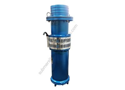 China QS 65m3/h 13m 3kW Large Electric Fountain Submersible Pump for Water Features for sale