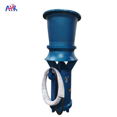 China 1000 m³/h 3m Head Vertical Submersible Axial Pump 18.5kW 400V for Flood Control and Irrigation for sale