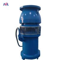 China 250QSH500-12 Axial Flow Submersible Pump 500m³/h 12m Head 30kW SS304 Impeller for River Water Applications for sale