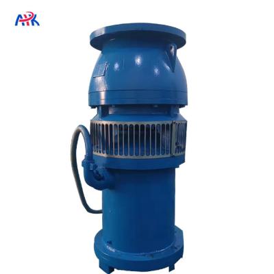 China 250QSH500-12 Axial Flow Submersible Pump 500m³/h 12m Head 30kW SS304 Impeller for River Water Applications for sale