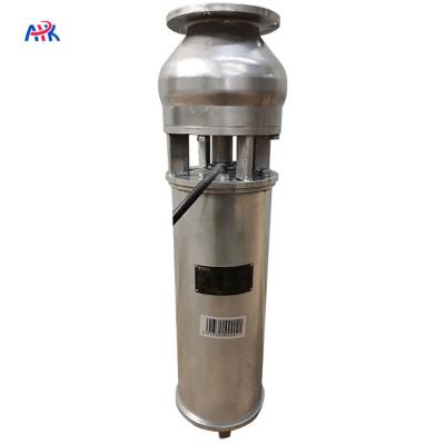 China 100m3/H Stainless Steel Fountain Pump 304 for Garden Project 2.2kw to 7.5kw for sale