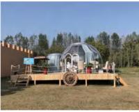 China Tourism PC Bubble Geodesic Dome Tent For Catering Leisure for sale