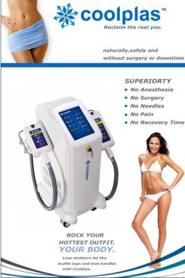 China cryolipolysis machine Coolplas fat freezing liposuction sincoheren criolipólise non surgical  liposuction slimming for sale