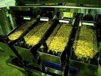 China 6500 Gram 4 Head Linear Weigher Machine | 40 Bags/Min Speed | ±0.3-5g Accuracy for Chocolate & Granules for sale