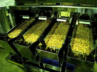 China 6500 Gram 4 Head Linear Weigher Machine | 40 Bags/Min Speed | ±0.3-5g Accuracy for Chocolate & Granules for sale