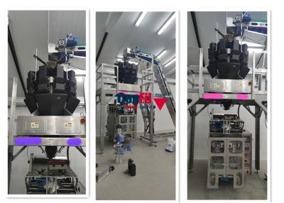 China Multihead Weighing Machine for Grated Cheese - 10-14 Heads, 12-1000g Range, IP65 Waterproof for sale