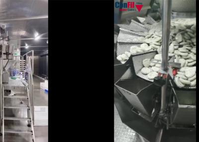 China 14-Head Multihead Weigher with 4.5kW Rotary Vacuum Packaging Machine for Meatballs and Fishballs for sale