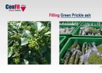 China Multihead Weighing Machine Multihead Weigher for Vegetable Green Prickly ash Waterproof Filling Machine for sale