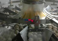 China ConFil 14-Head Multihead Weigher for Frozen Food 2.5Kg Manual Collection for sale