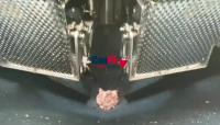 China Screw Feeder 14 Head 2Liter Multihead Weighing Machine for Fresh Poultry for sale