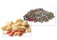 China 10-Head Multihead Weighing Machine for Nuts & Seeds | 2.5L Hopper | 65-110 Cycles/Min | ±1.5g Accuracy for sale