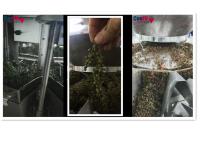 China 2000 Gram Rotary Vacuum Packaging Machine with 60 Bags/Min Speed for Fresh Produce and Multihead Weigher Integration for sale
