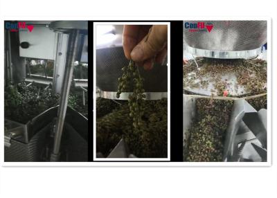 China 2000 Gram Rotary Vacuum Packaging Machine with 60 Bags/Min Speed for Fresh Produce and Multihead Weigher Integration for sale