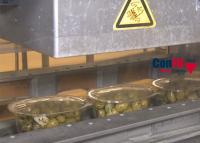 China Multihead Weigher Packing Machine for Whole Olives Chopped Olives Packaging System Traysealer for sale