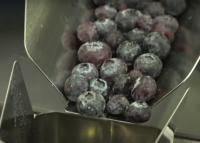 China 14-Head Multihead Weighing Machine for Blueberry & Fragile Foods - 2.5L Hopper, 70 CPM Speed, ±2g Accuracy for sale