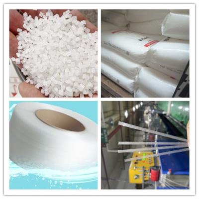 China PP Strap Band Extrusion Line 200-300kg/h PLC Control for 5-19mm Straps for sale