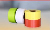 China PP Strapping Production Line 5-15mm 100-600kg/h Customized Plastic Machinery for sale
