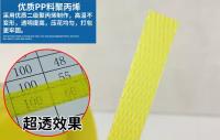 China Customized PP Strap Band Extrusion Line with Different Screw Design for sale