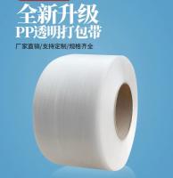 China PP Plastic Belt Extruder 5-15mm Single Screw Packaging Strap Making Machine 380V/220V for sale