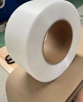 China High Quality PP Plastic Packing Tape 5-19mm Width 10kg Roll Strapping for sale