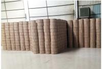 China Automatic PP Strapping Belt 5-19mm Width High Speed 30-60kg Capacity for Warehouse Packing for sale
