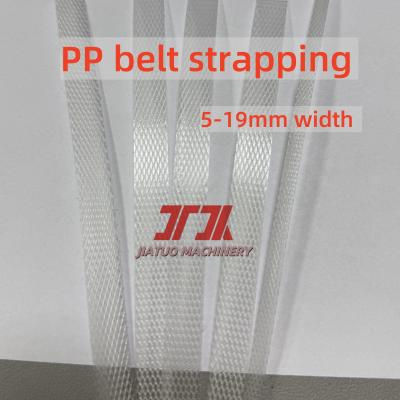 China 5mm-19mm Support Customization Plastic PP Packing Strapping Belt High Quality New Material for sale