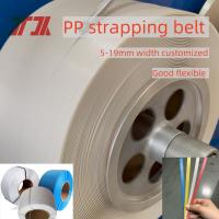 China 5-19mm Width PP Strap Making Machine With PLC Control And Automatic Winder SGS CE Certificate for sale