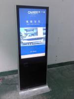 China 43