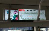 China 28 28.8 29 Inch Stretched Bar LCD Monitor 1920*360 / 1920*540 For Bus for sale